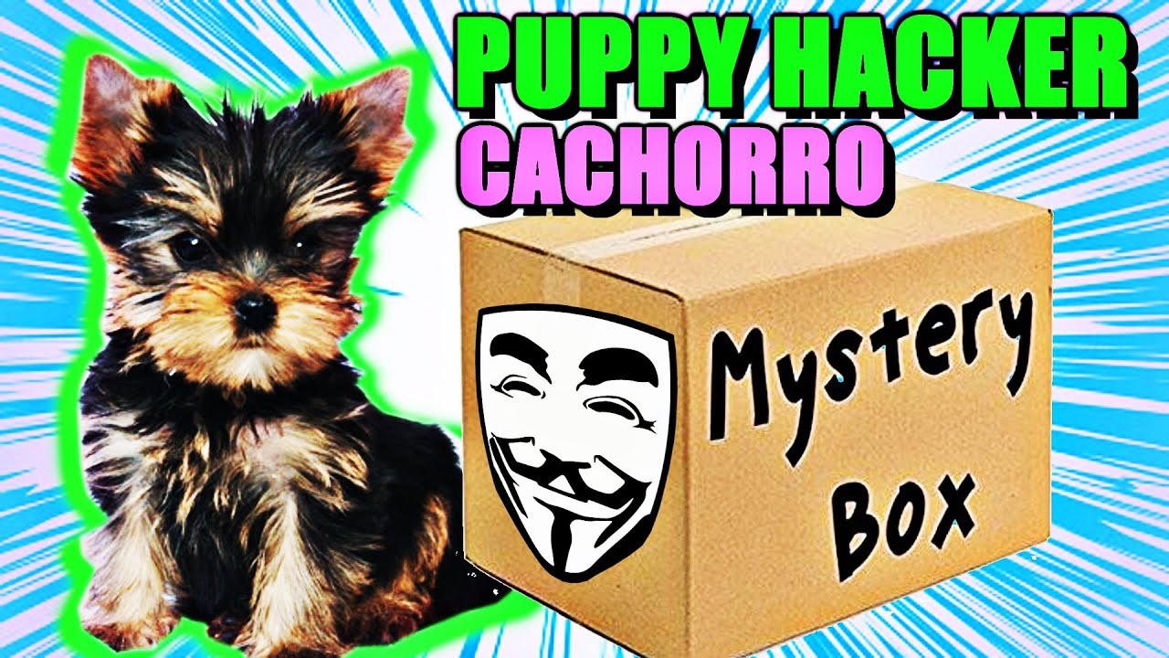 EL HOMBRE INVISIBLE:ABRIMOS UN PAQUETE PARA LUKE PUPPY*El perro HACKER ...
