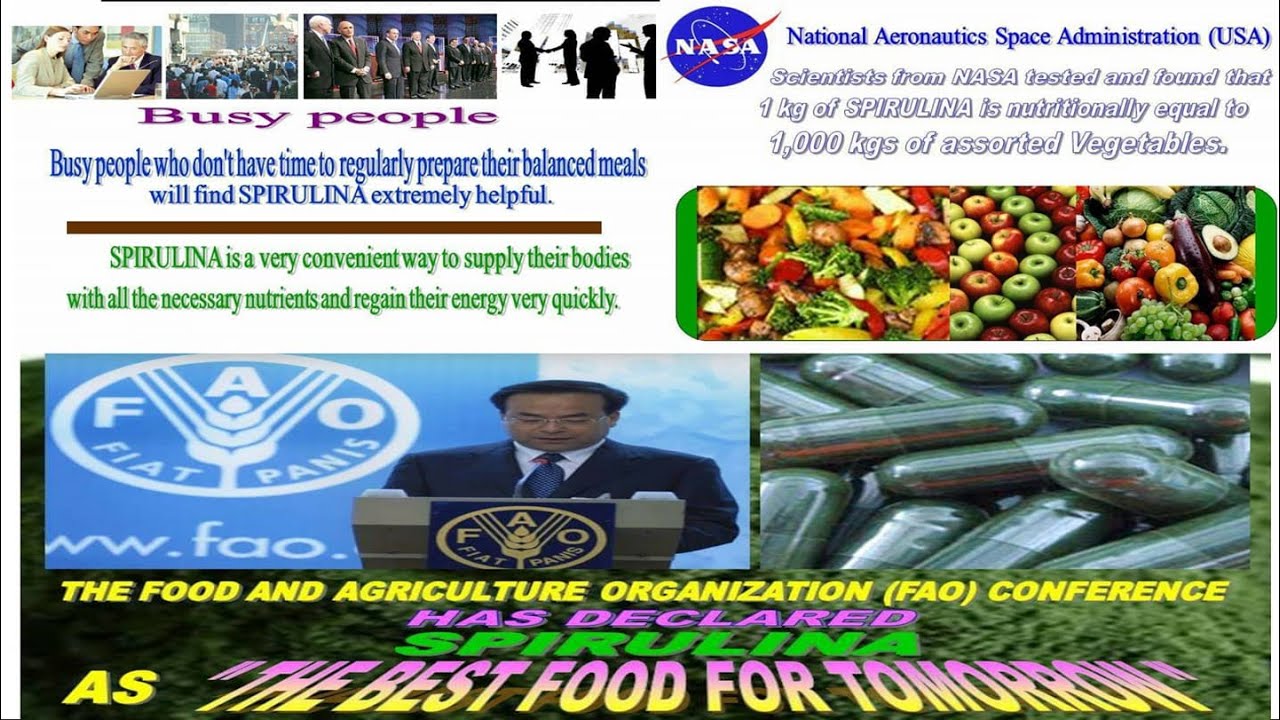 DXN SPIRULINA FARM,NINGXIA,CHINA. #DXN sanimanavalandevassy - YouTube