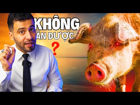 TẠI SAO ĐẠO HỒI KHÔNG ĂN THỊT LỢN? HALAL LÀ GÌ? CHỨNG NHẬN HALAL QUAN TRỌNG NHƯ THẾ NÀO