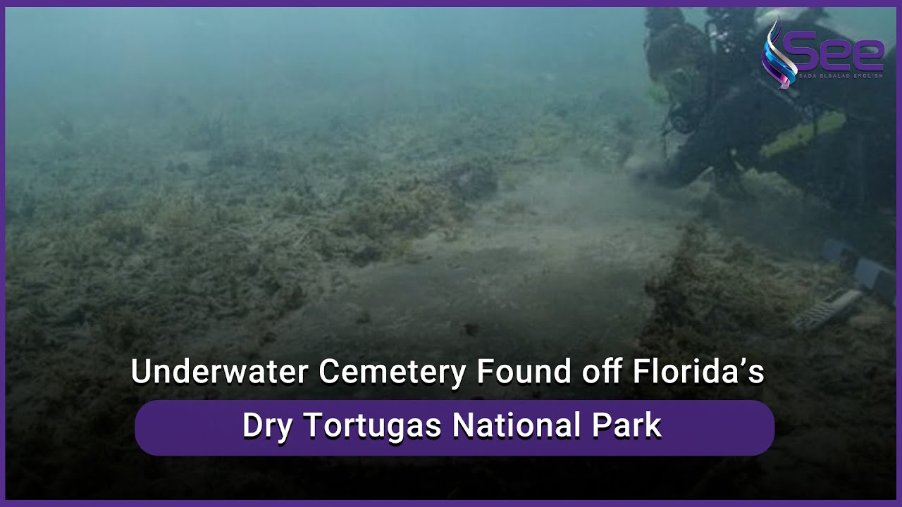 Underwater Cemetery Found off Florida’s Dry Tortugas National Park ...