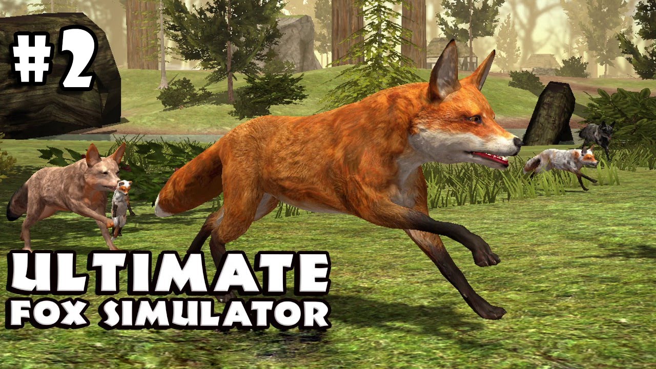 Ultimate Fox Simulator Android Gameplay Part 2 [HD] - YouTube