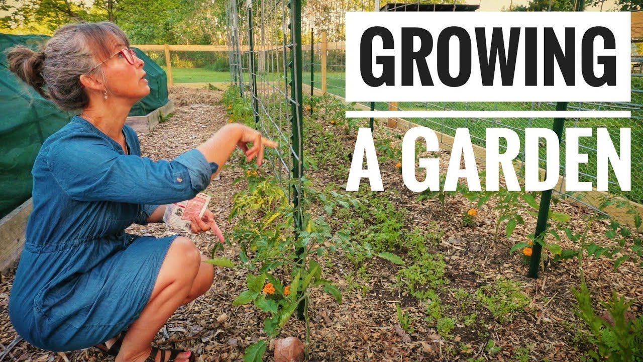 PLANT, GROW & LEARN | The Journey of Gardening - YouTube