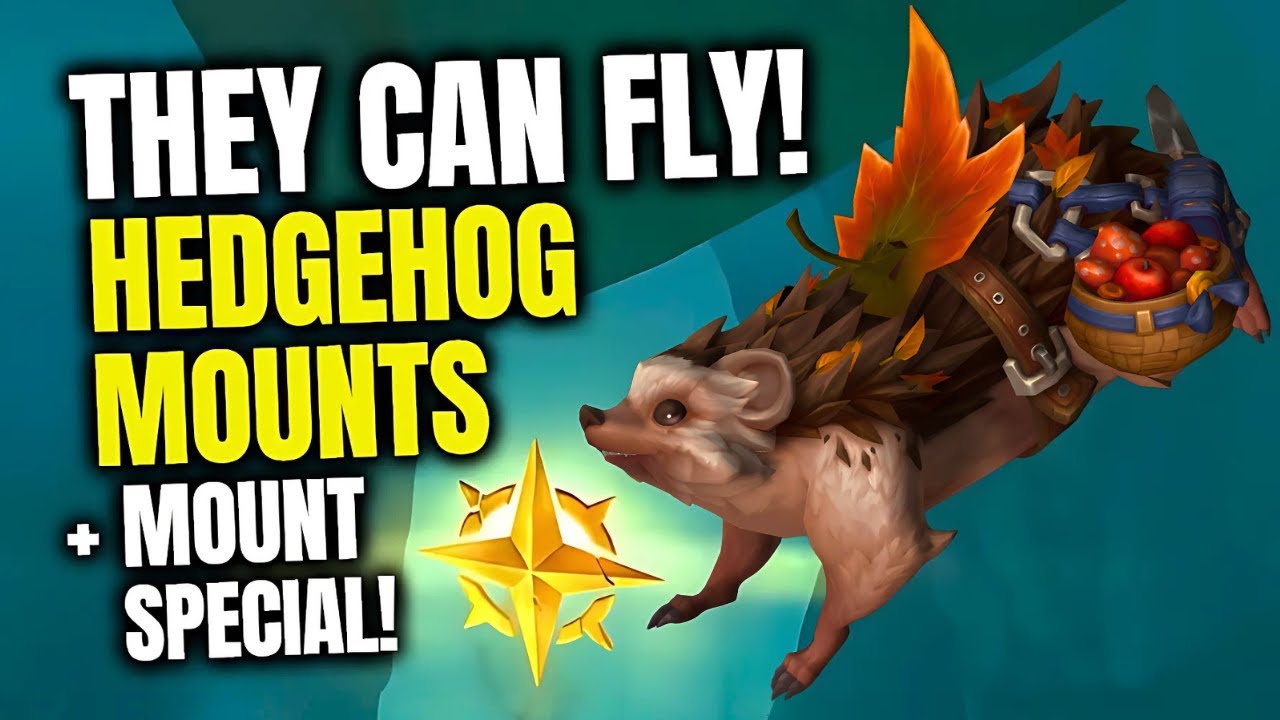 The New Hedgehogs Mounts Can FLY! + Mount Special! WoW The War Within | Patch 11.1.5 - YouTube