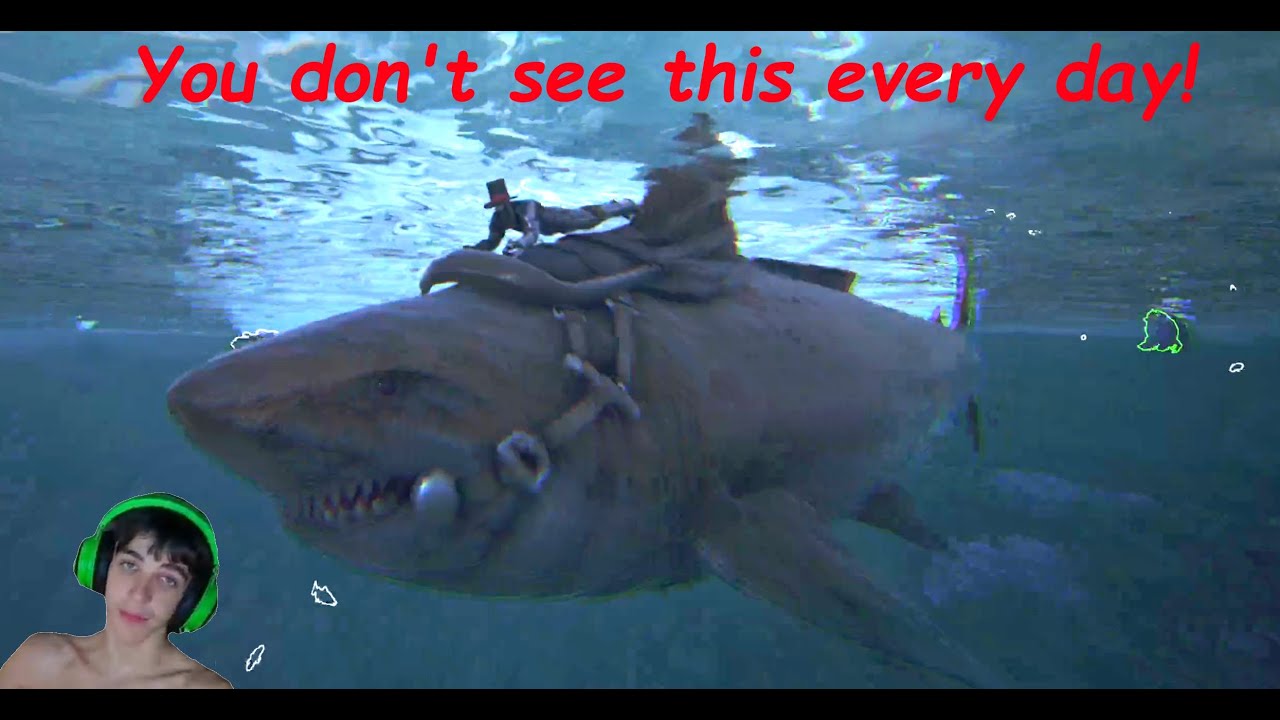 Adventures in Ark Survival: Meg and Bronto tamed, but will Pop mess it ...