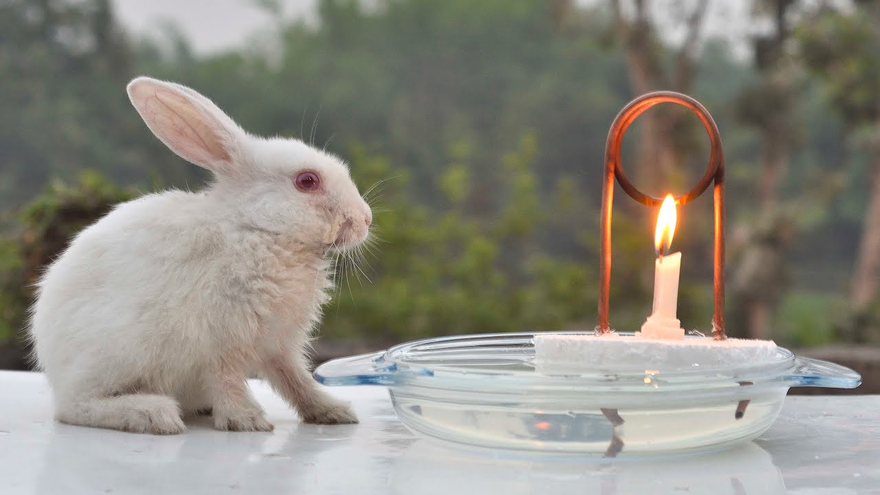 ️How To Make Simple Steam Engine At Home (Very Easy) - YouTube