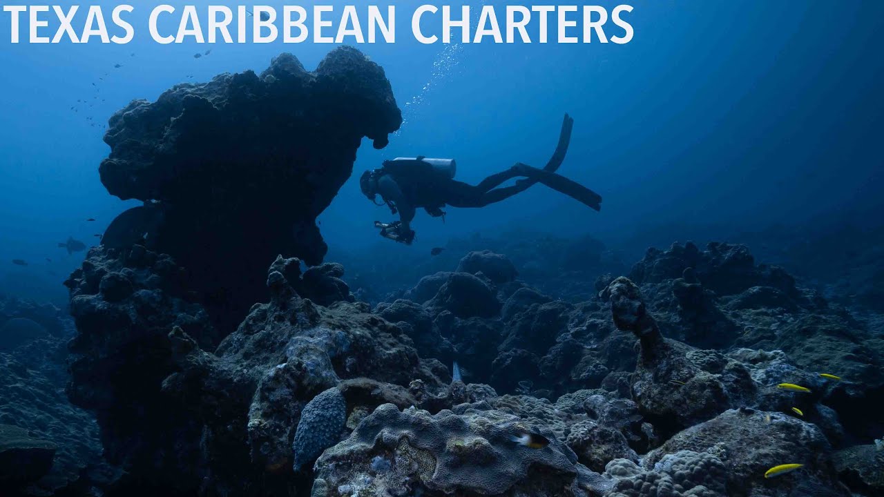 MV Fling Diving Live-aboard, The Flower Garden Banks National Marine ...