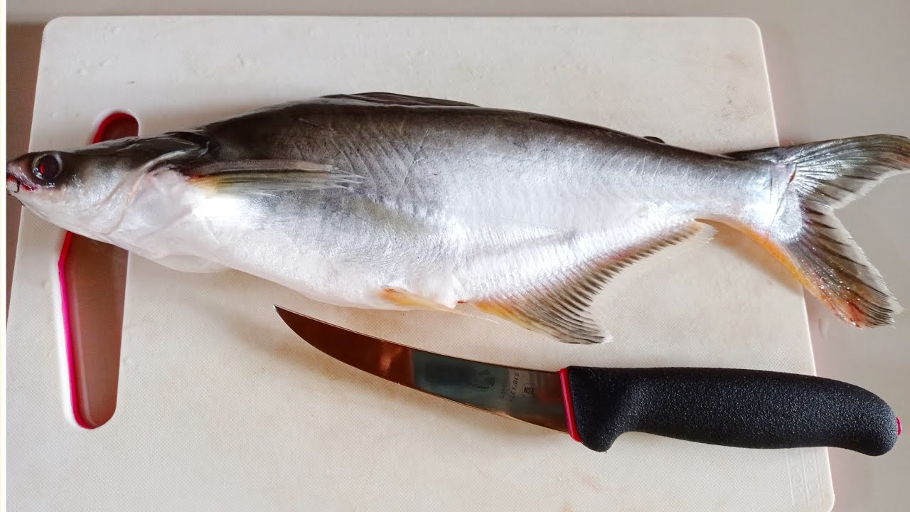 Fillet ikan patin, pakai boning victorinox - YouTube