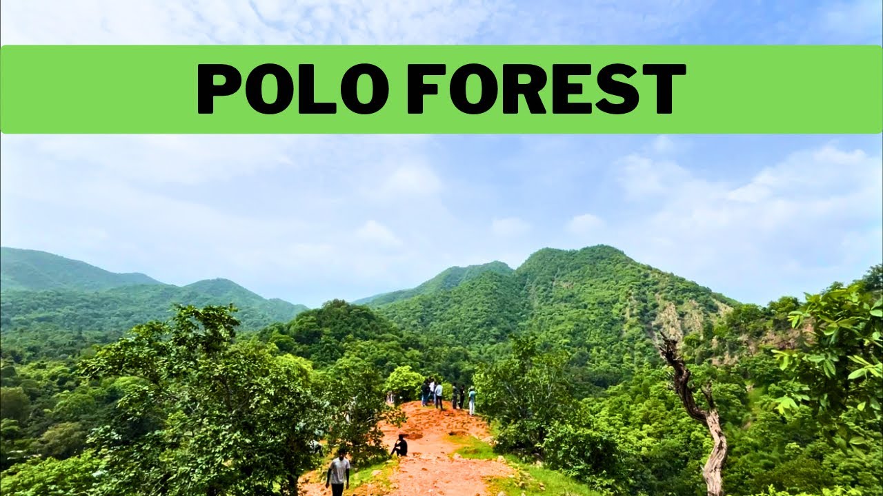 Polo Forest | Polo Forest Vijaynagar - YouTube