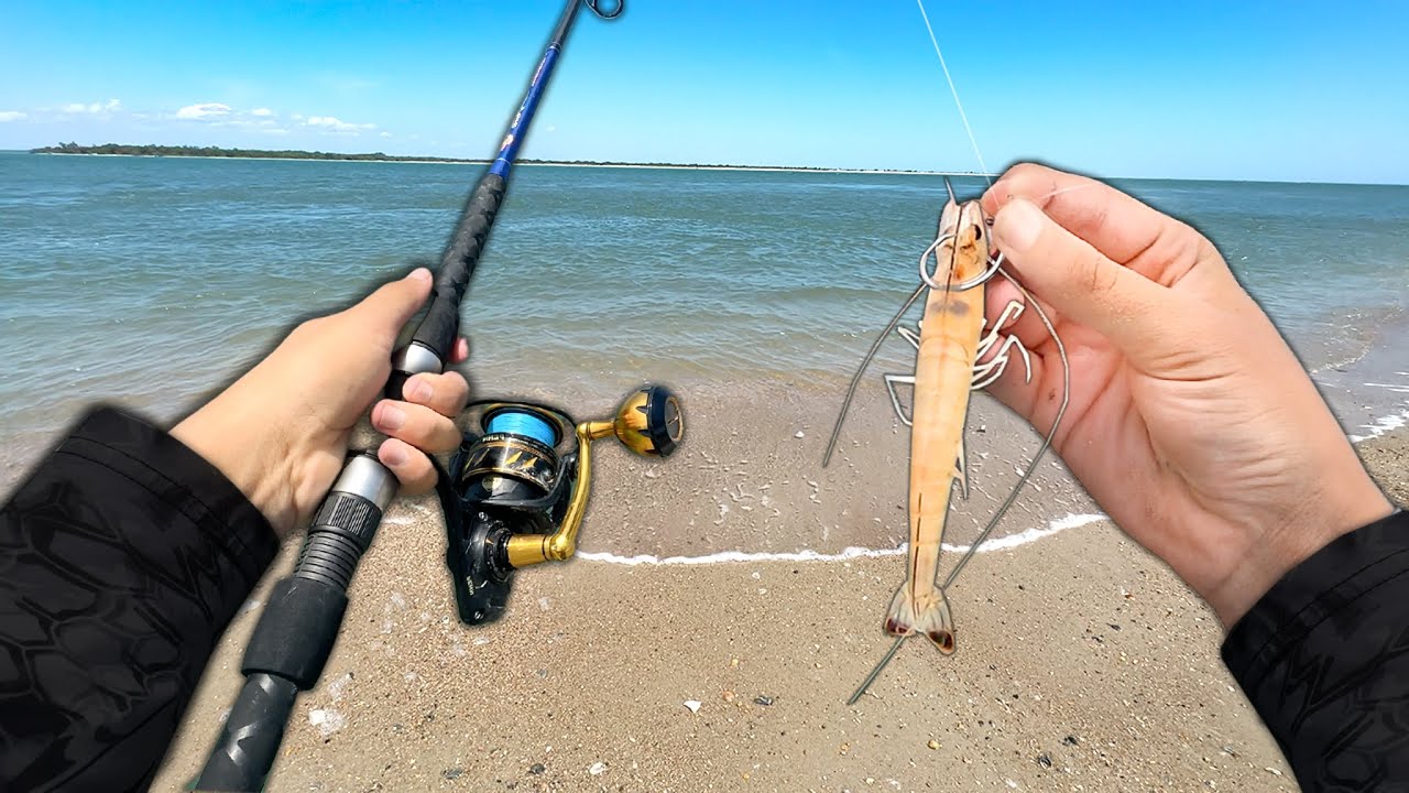 It took me YEARS to Catch this FISH! (Catch and Cook) - YouTube