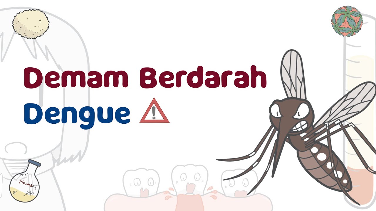 Demam Berdarah Dengue Dbd Patogenesis Tanda Gejala Tatalaksana