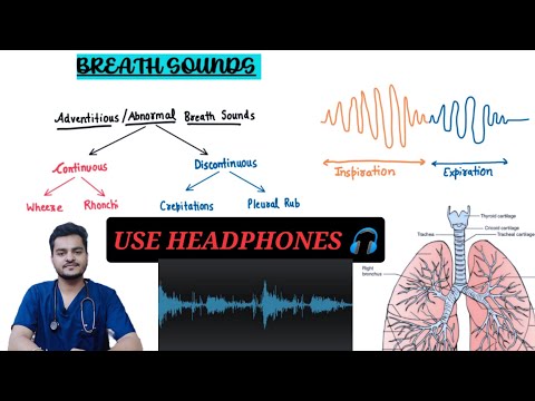 LUNG SOUNDS - Normal & Abnormal (Wheeze , Rhonchi , Rales , Rub ) | Breath Sounds
