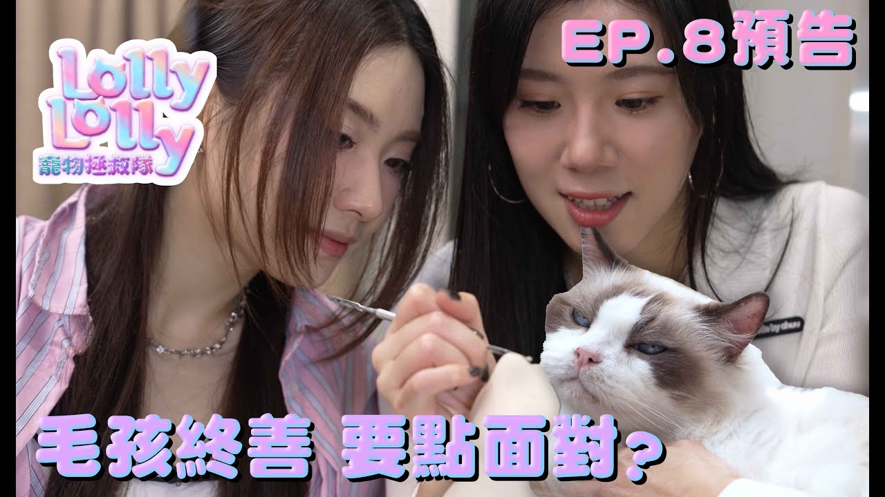 【Lolly Lolly寵物拯救隊】毛孩終善有咩選擇？｜EP8 預告｜ Lolly Talk｜ 寵物節目 ｜ HOY TV - YouTube