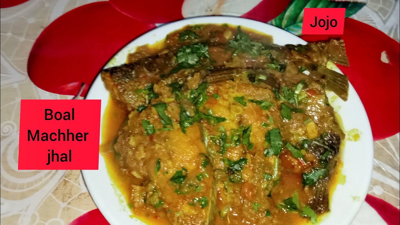 Boal machher jhal/boal machher jhal recipe/boal machher jhal Bengali ...