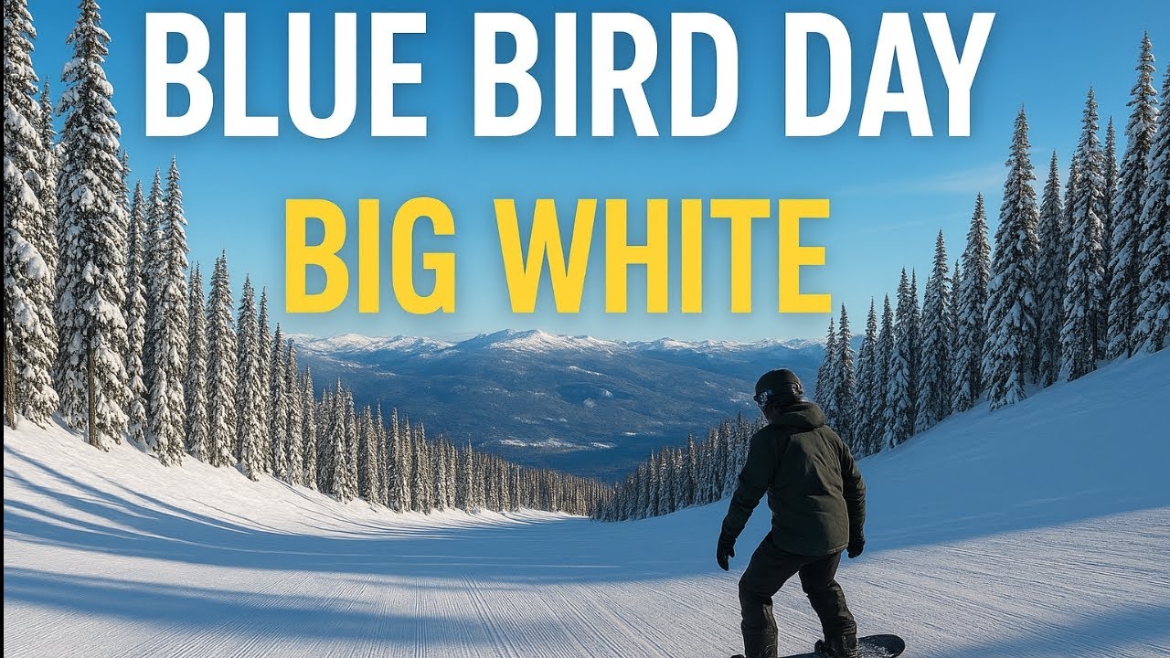 Big White On A Beautiful Blue Bird Day - YouTube