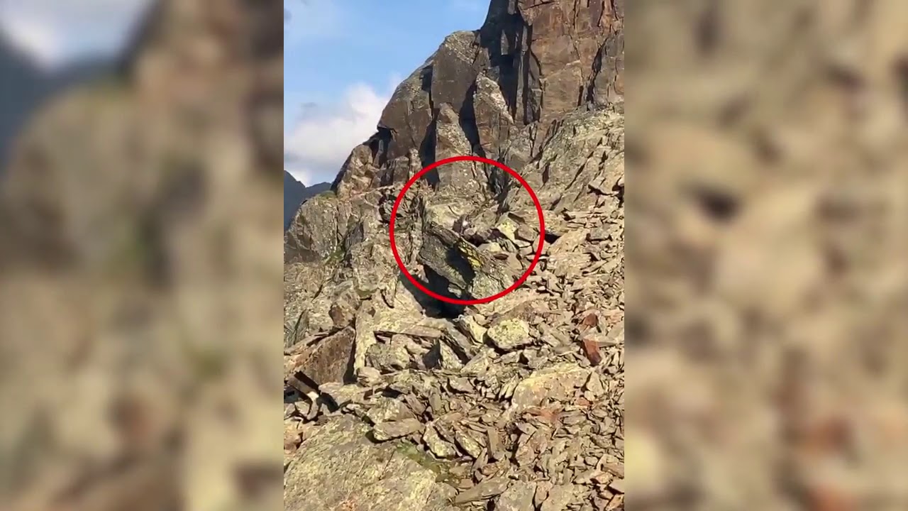 Unnormal discuss Creature caught on Tape. Alien, Monster, or something ...