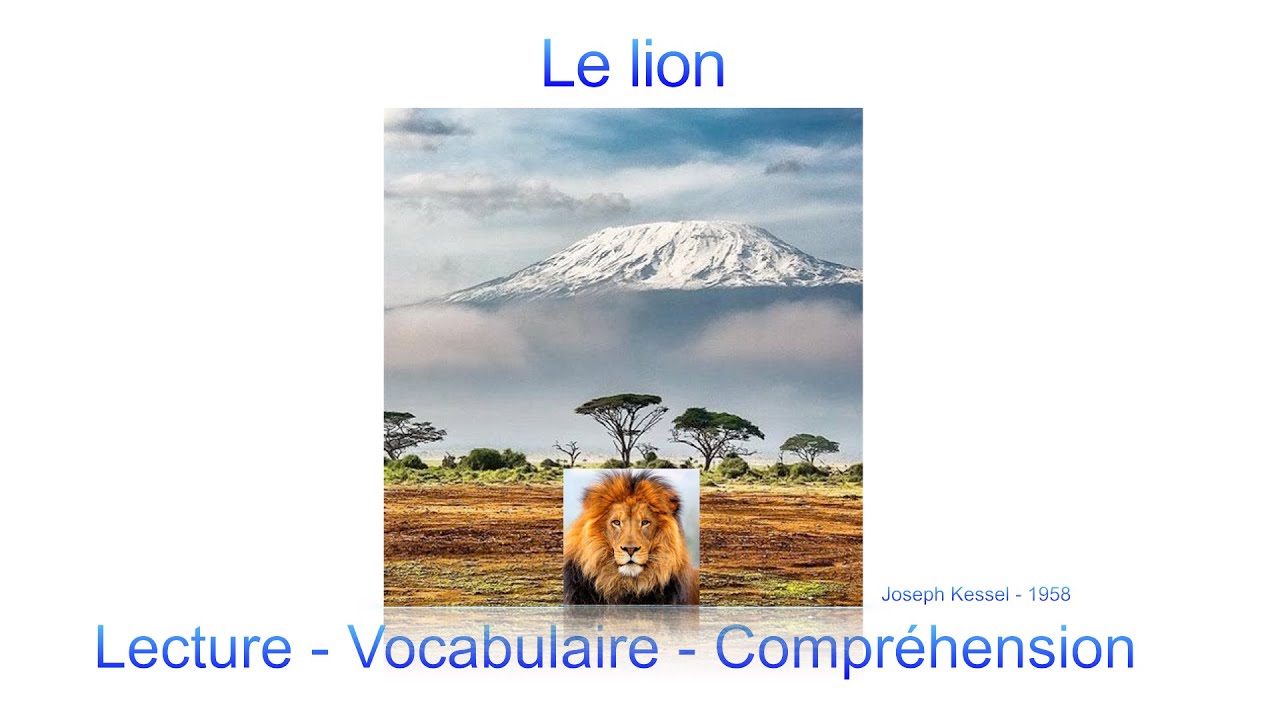 Le lion, Français, Lecture, Vocabulaire, Compréhension, CM2 6ème 5ème ...