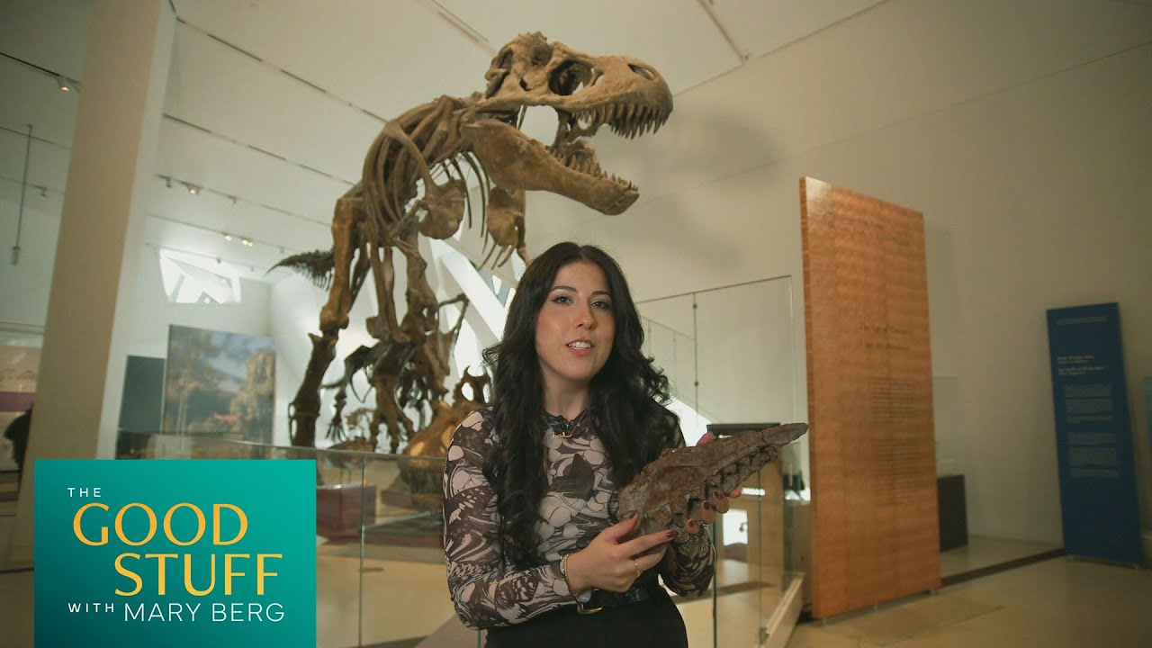 Science Sam heads to the ROM for a prehistoric dinosaur fossil mission ...