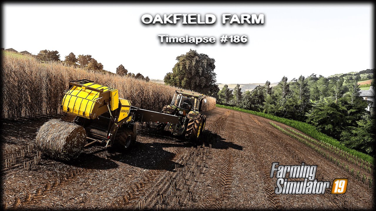 Cutting POPLAR with BIOBALER, mowing CLOVER, seeding SOYBEANS ...