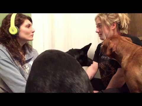 The Whisper Challenge: Starfish Armpits