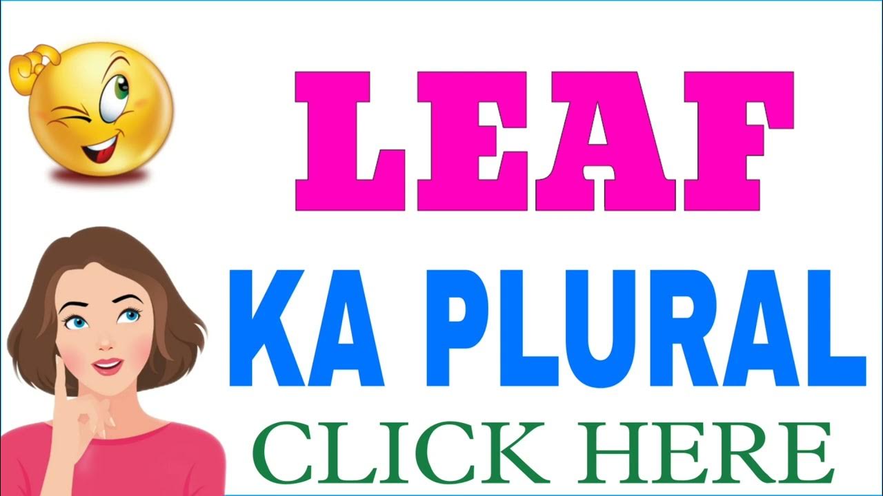 Plural Of Leaf Leaf Ka Plural Leaf Plural Word Leaf Plural Form plural-of-leaf-leaf-ka-plural-leaf-plural-word-leaf-plural-form