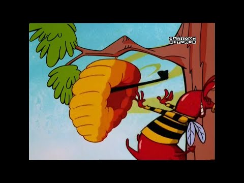 I Am Weasel - Queenie Punches Red Guy Out Of Her Hive