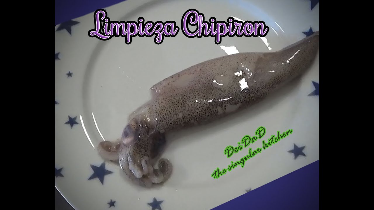 Limpieza chipirón || anatomía cefalópodos - YouTube