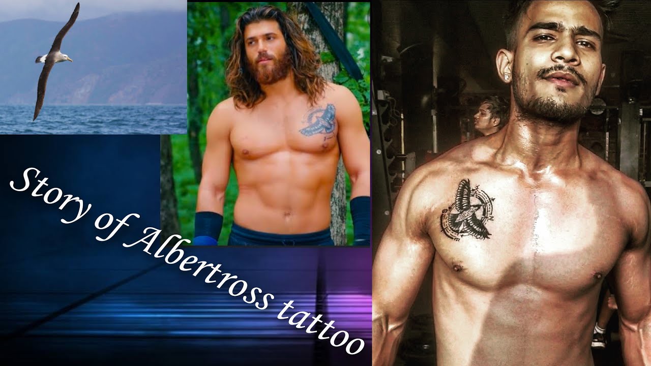 Unique chest Tattoo The Royal Albertross #Can yaman # daydreamer - YouTube