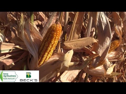 Kevin Holl | Beck's Hybrids Harvest Tour - YouTube