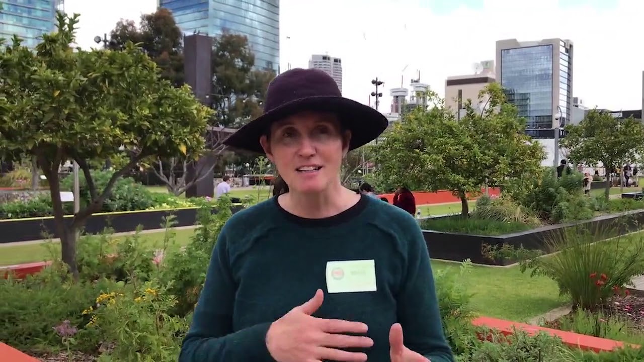 Spring in the Urban Orchard Kat - YouTube