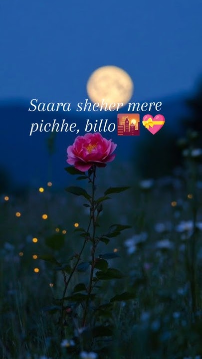 Fell for you lyrics(shubh) ️ |fell for you status |#song#shubh#trending#singer#shorts#lyrics# ...