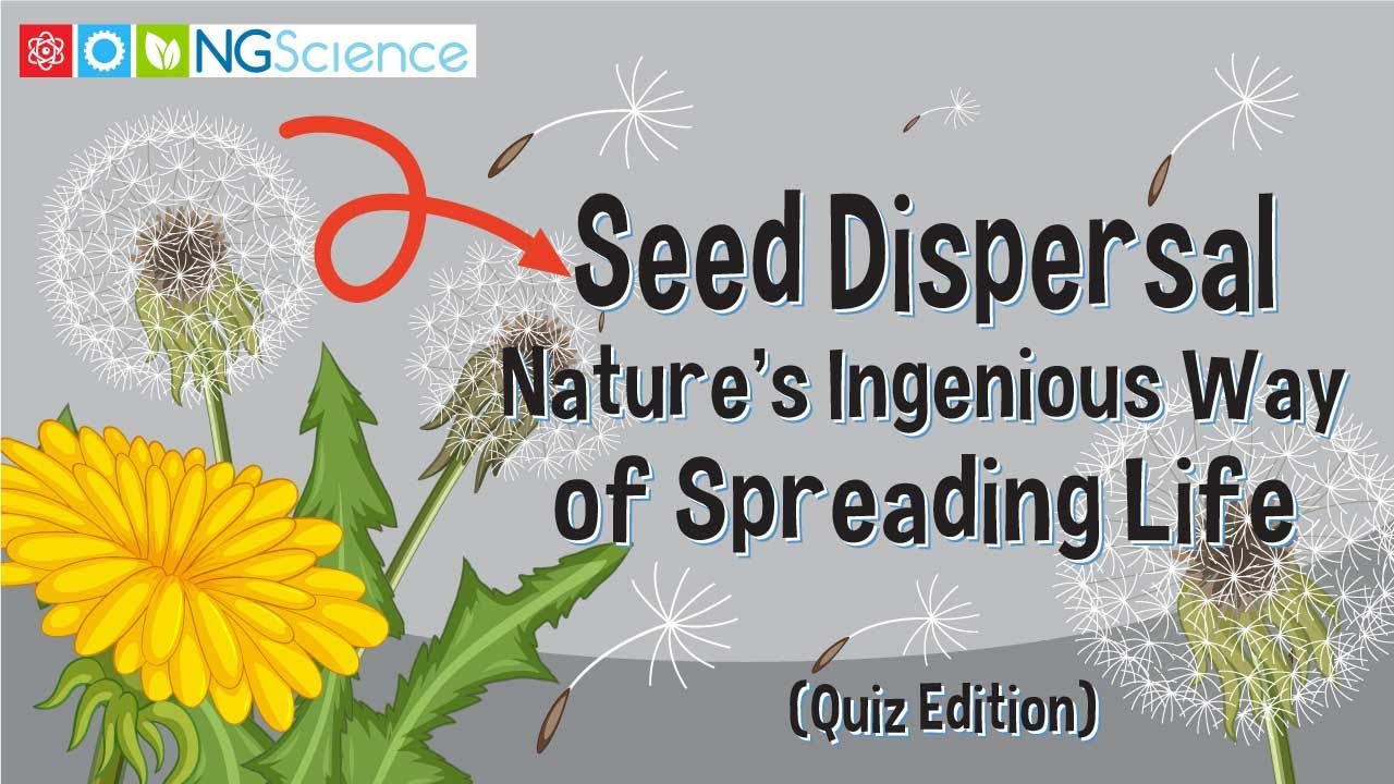 Seed Dispersal – Nature's Ingenious Way of Spreading Life (Quiz Edition ...