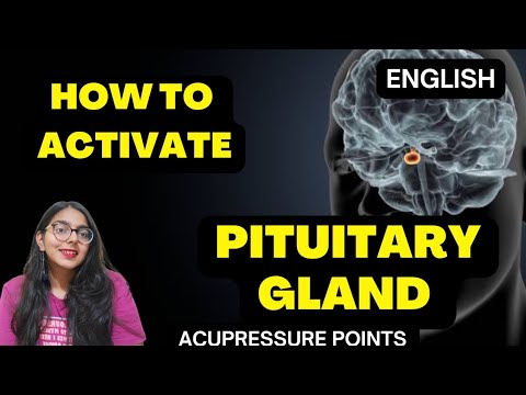 How to Activate Pituitary gland with the help of Acupressure points by ...