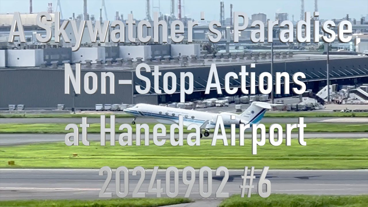 A Skywatcher's Paradise, Non-Stop Actions at Haneda Airport 20240902 #6 ...