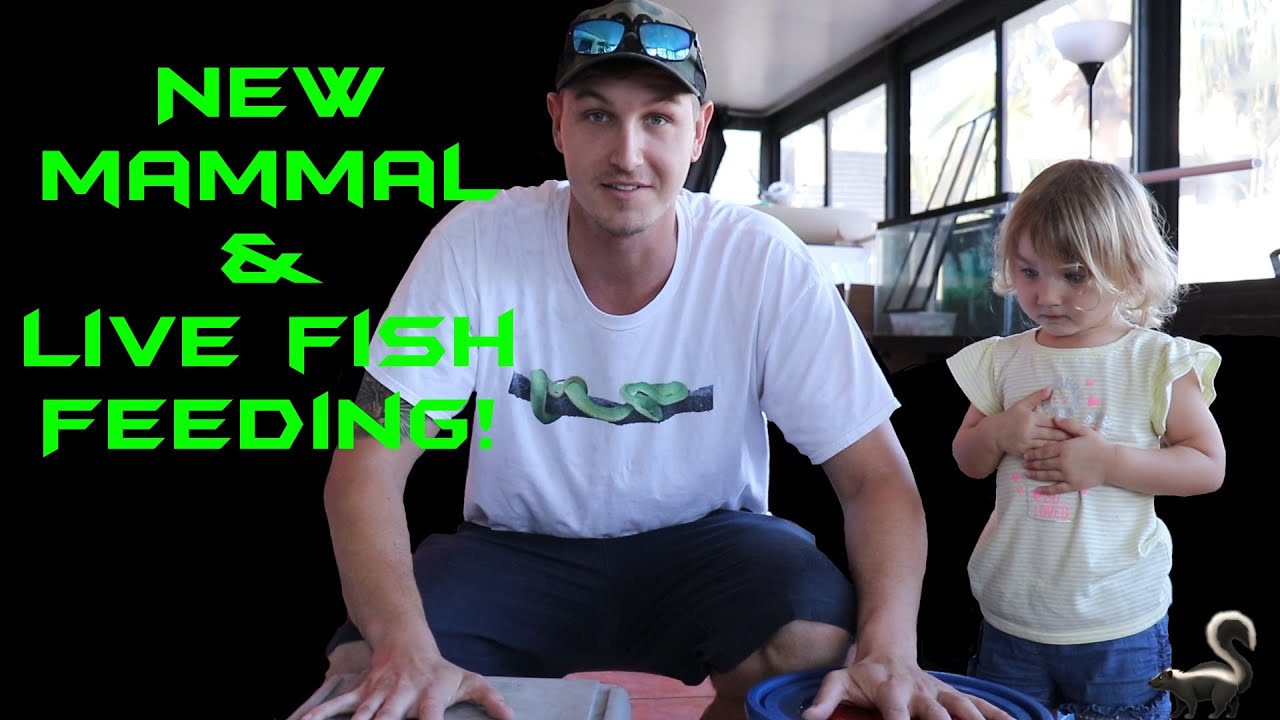 I DON'T KNOW WHICH SMELL IS WORSE! | WILL NACE - YouTube