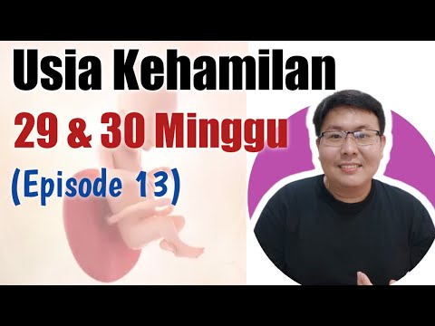 USIA KEHAMILAN 29 DAN 30 MINGGU (eps 13) - TANYAKAN DOKTER