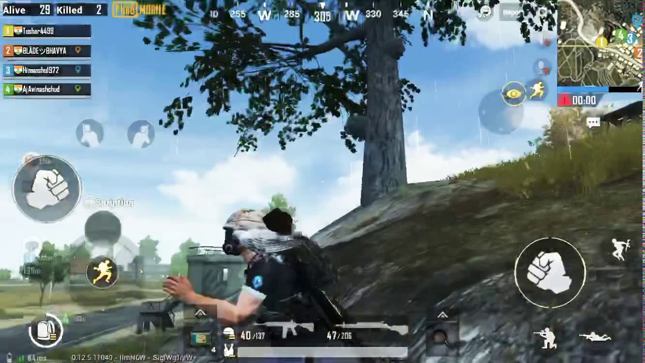 Pet (pigon) in pubg mobile - YouTube