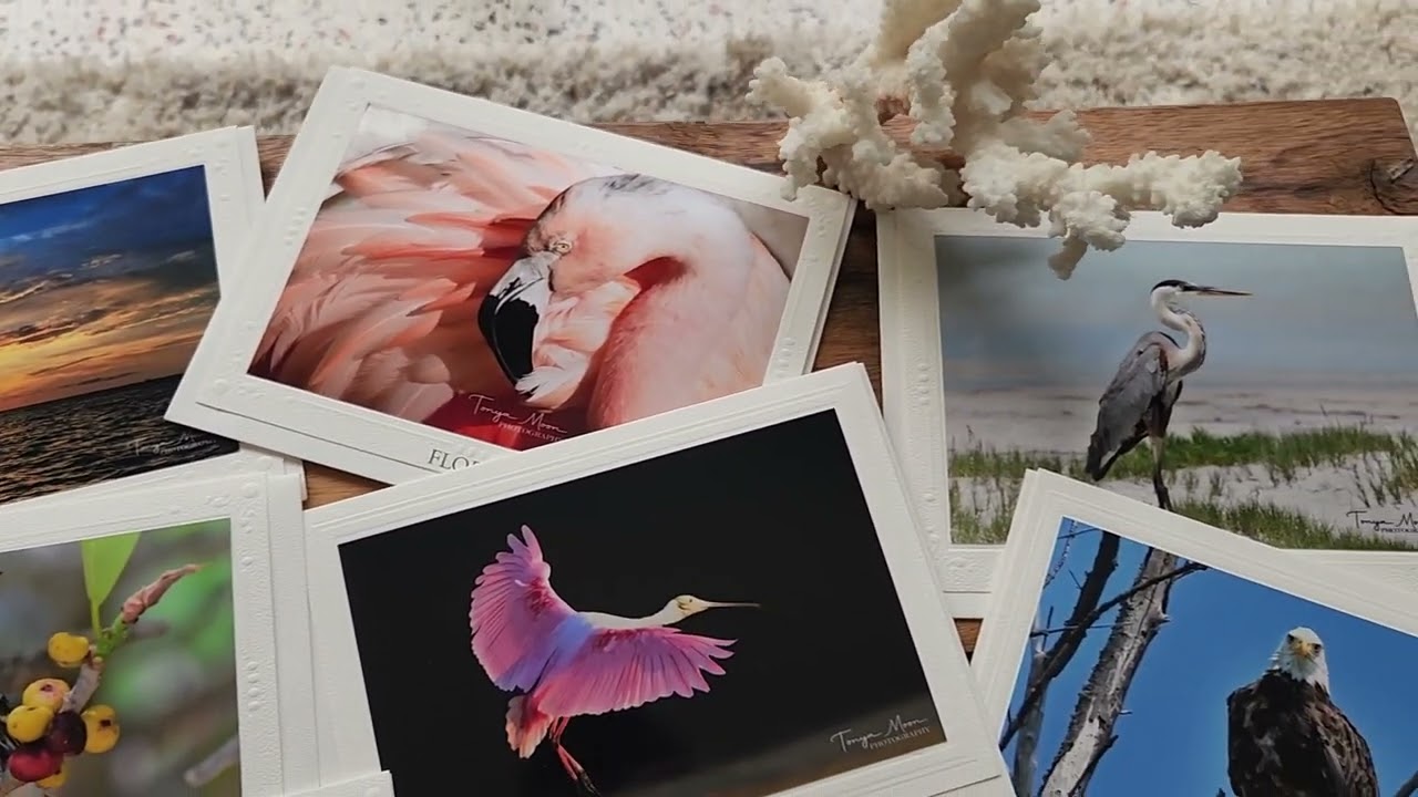 Tonya Moon Photography Stationary Cards, Acrylic prints and more - YouTube