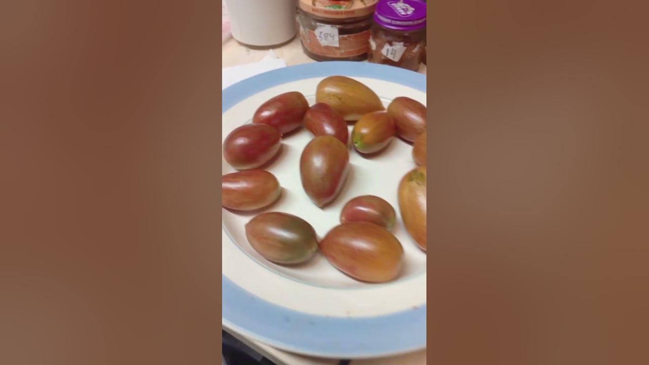 Томат КОНФЕТА СЛАДКАЯ СОСУЛЬКА. Вкусная овощная сладость👌👍 - YouTube