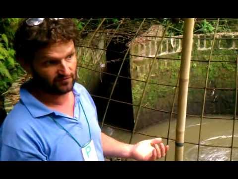 Water Vortex Generator - YouTube