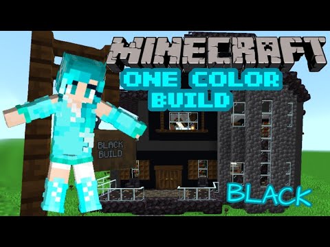 BLACK ONLY Build Challenge in MINECRAFT!!! | Ep. 9 | Minecraft One ...
