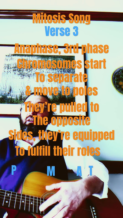 Mitosis Song (v3 anaphase) #school #singersongwriter #mitosis #biology ...