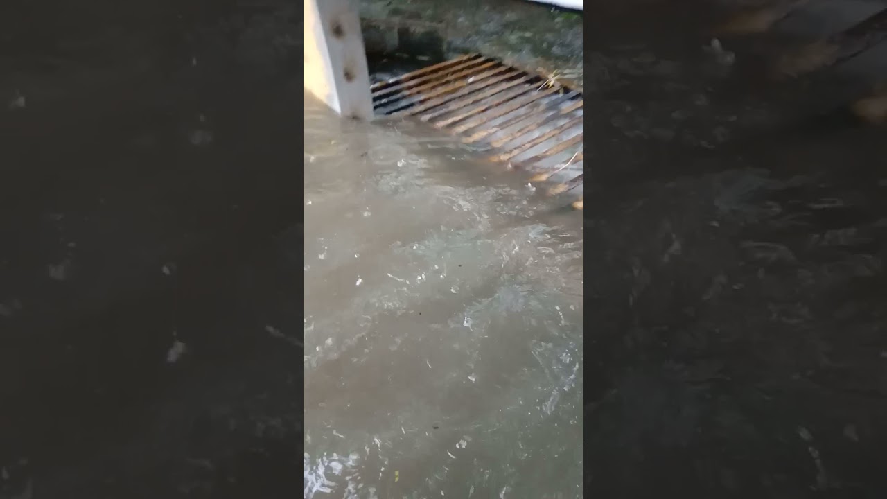 Flooding in BF,Paranaque city😮 - YouTube