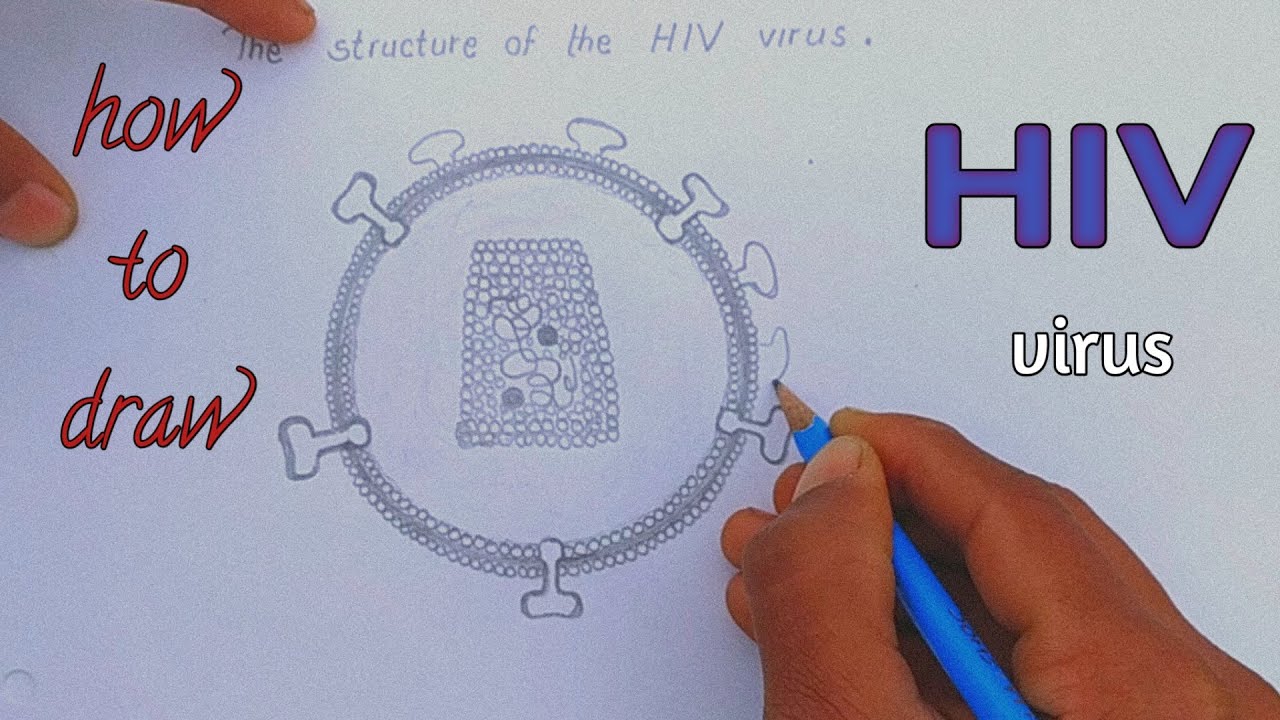 How to draw HIV virus easily. - YouTube