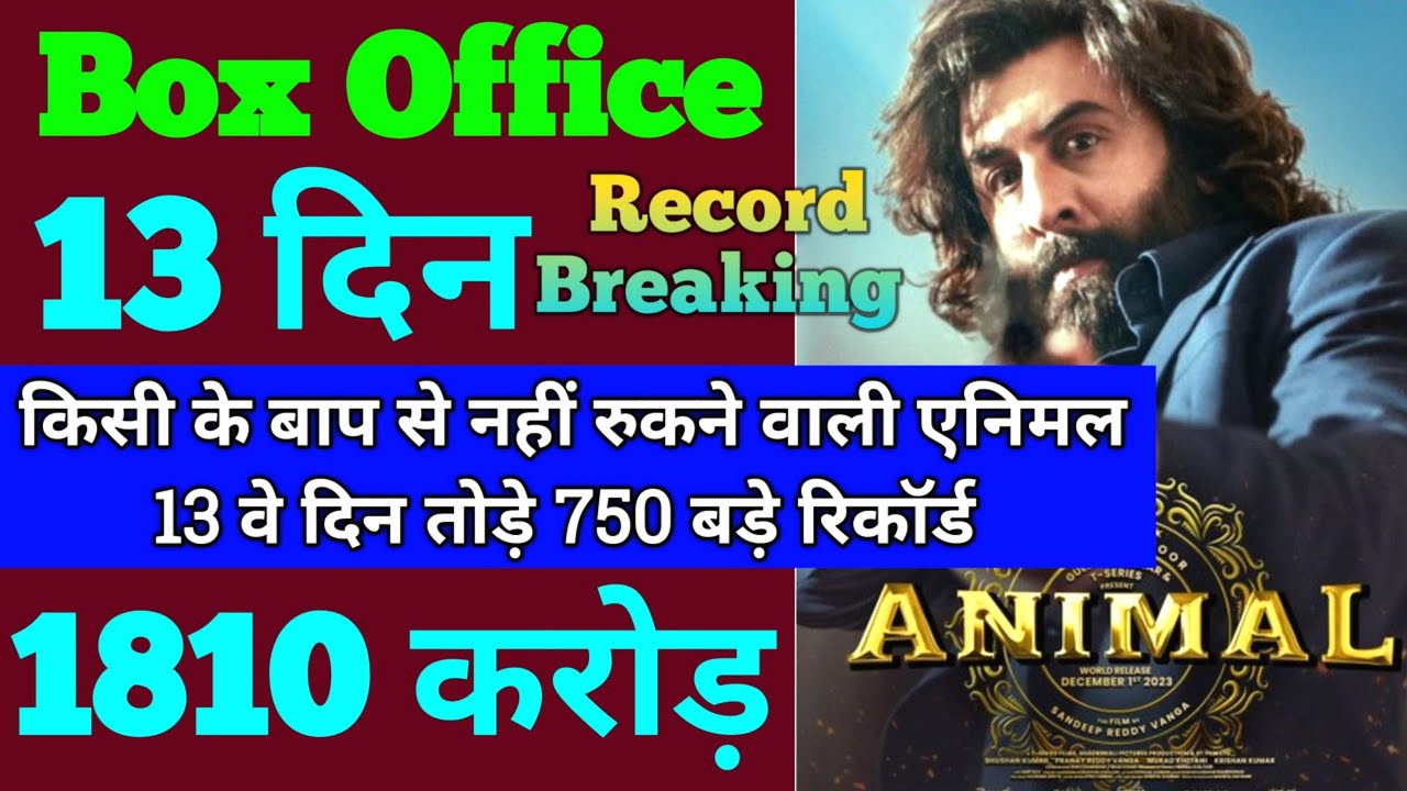 Animal Box Office Collection | Animal 12th Day Collection, Animal 13th ...