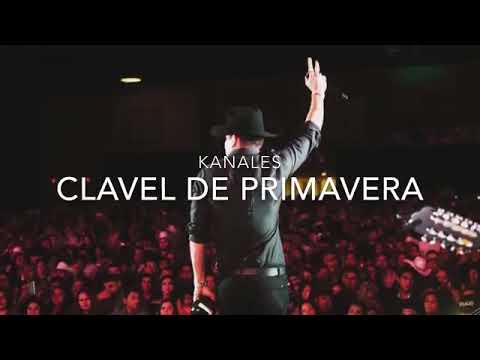 El Compa kanales clavel de primavera - YouTube