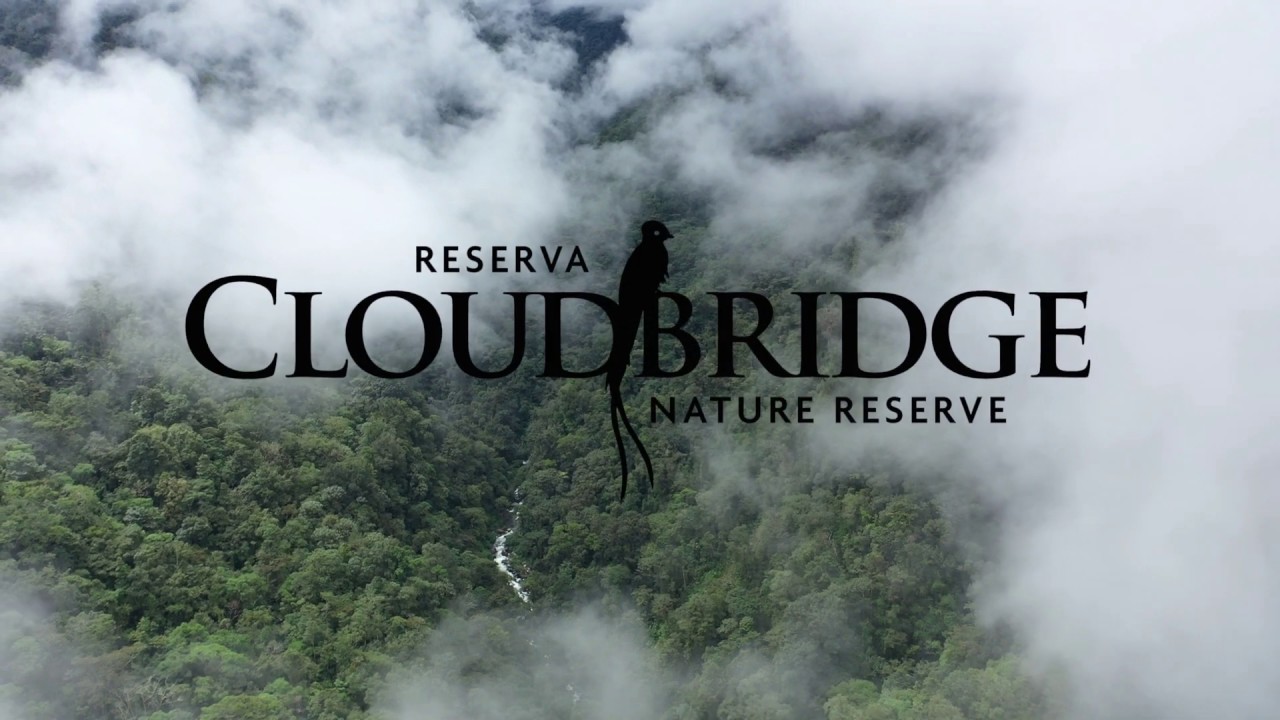 Reserva Cloudbridge - YouTube