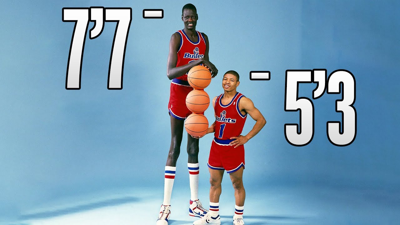 The NBA's Most Unique Duo - YouTube