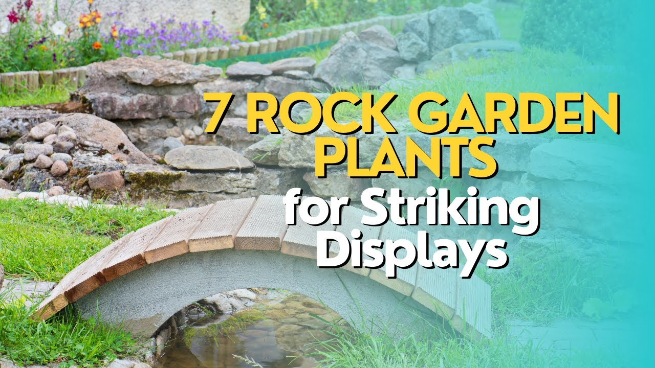 Top 7 Rock Garden Plants for Striking Displays - YouTube