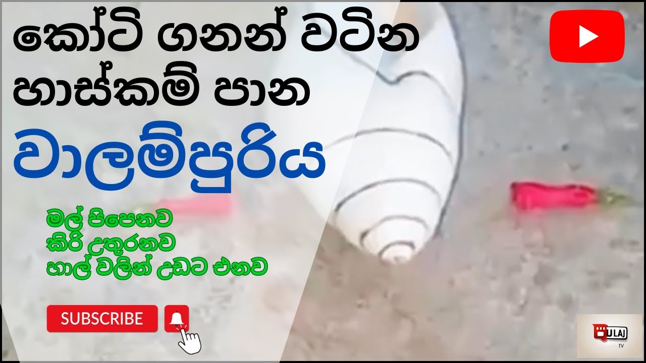 හාස්කම් පාන දුර්ලබ වාලම්පූරිය | Real walampuri | 2024 | Dulaj TV - YouTube
