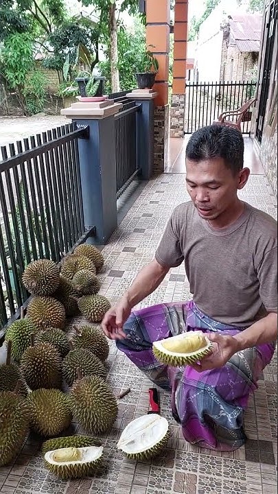 Tutorial Belah Durian Tembaga - YouTube